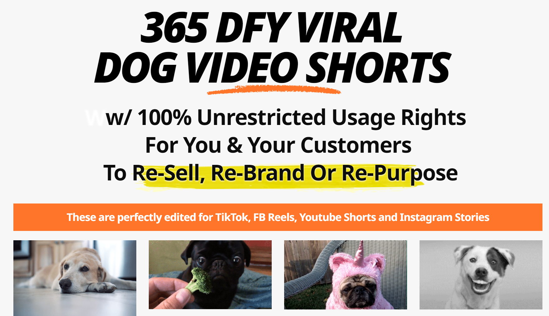 365 Viral Dog Videos [Unrestricted PLR] Review | Great For TikTok!