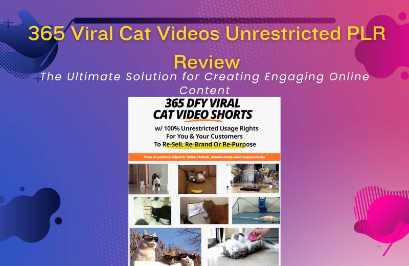 365 Viral Cat Videos Unrestricted PLR Review | The Ultimate Solution ...